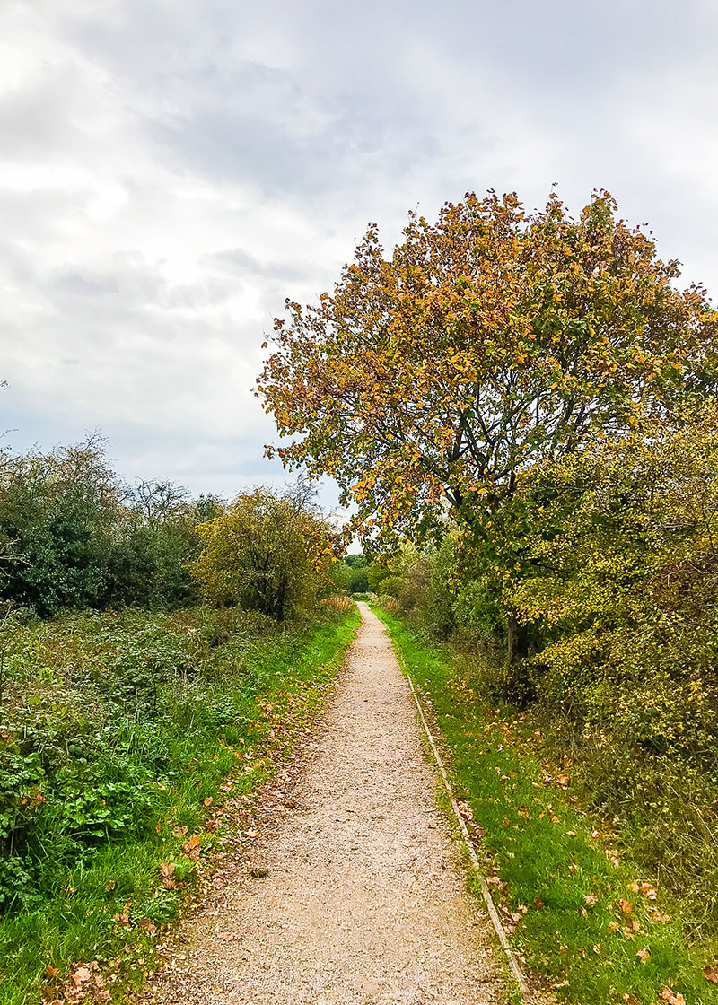 Audley Rural Neighbourhood Plan